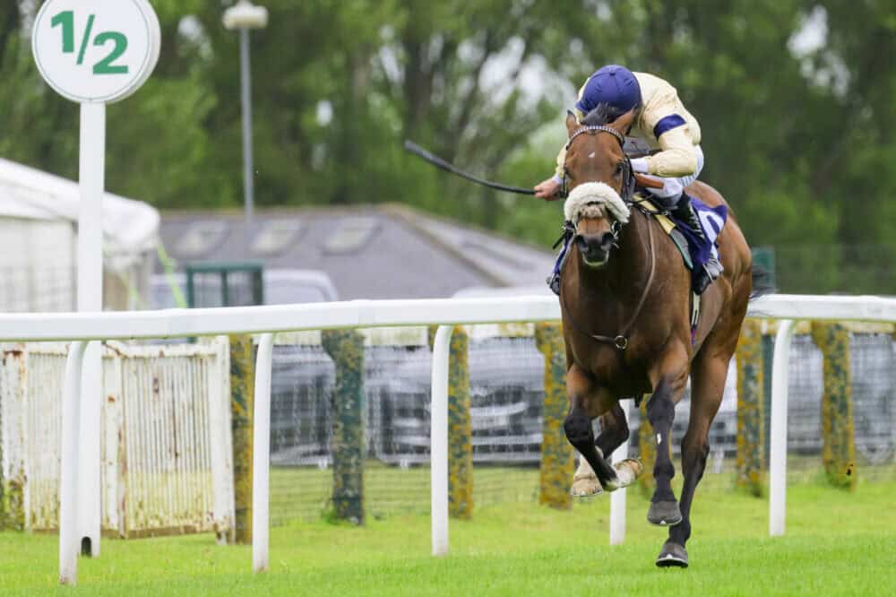 Piper's off the mark - Hambleton Racing