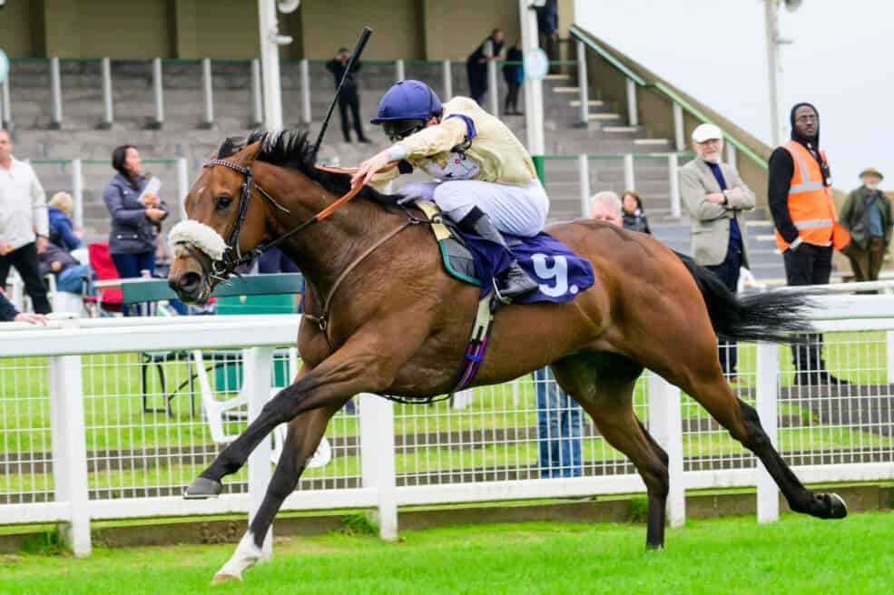 Piper's off the mark - Hambleton Racing