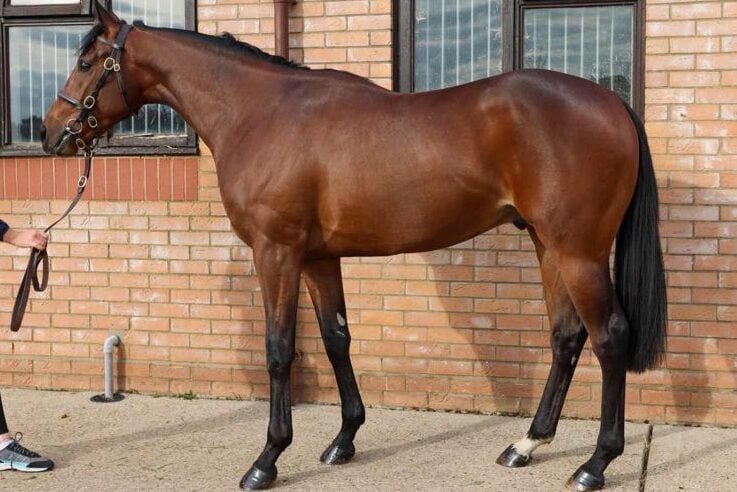 Karl Burke | Racing Horse Trainer | Hambleton Racing