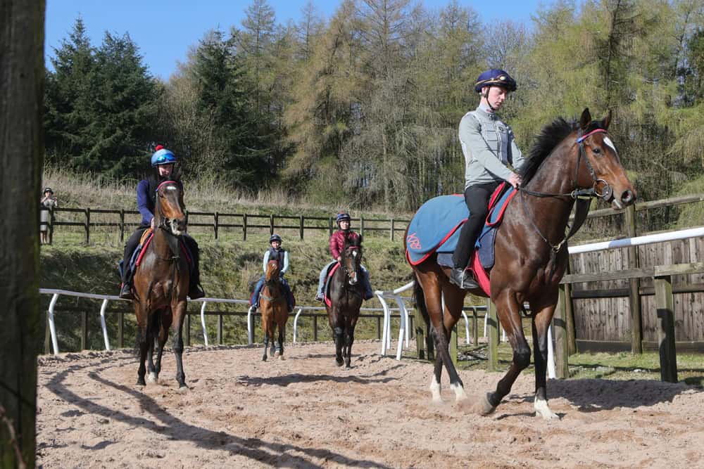 Karl Burke | Racehorse Trainer at Spigot Lodge, Middleham